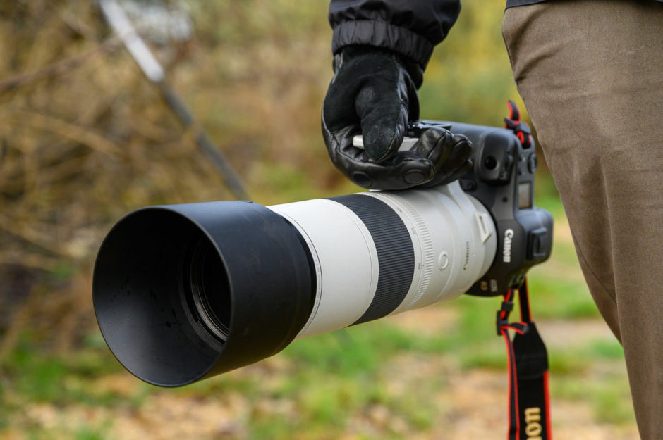 Helga Steppan : See Through, une série pleine de couleurs