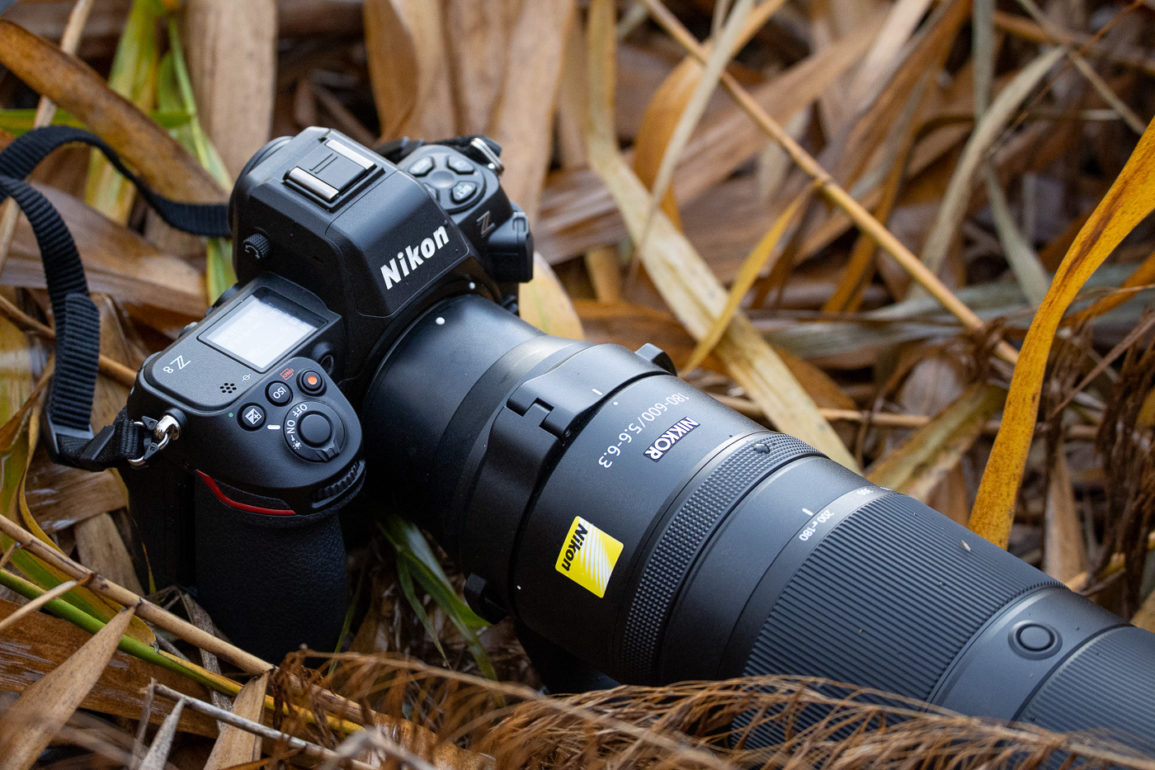 Prise en main Nikkor Z 180-600 mm f/5,6-6,3 VR : le plus long télézoom en monture Nikon Z