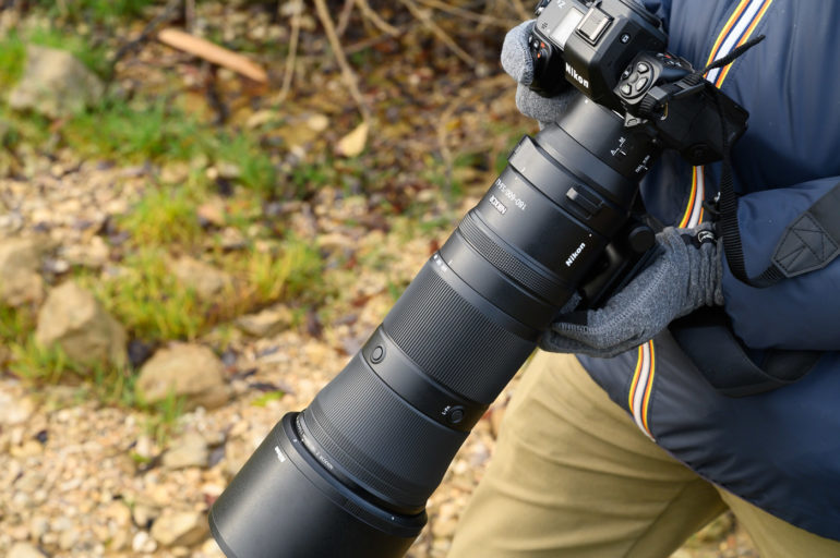 Prise en main Nikkor Z 180-600 mm f/5,6-6,3 VR : le plus long télézoom en monture Nikon Z