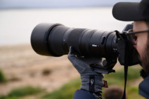Prise en main Nikkor Z 180-600 mm f/5,6-6,3 VR : le plus long télézoom en monture Nikon Z