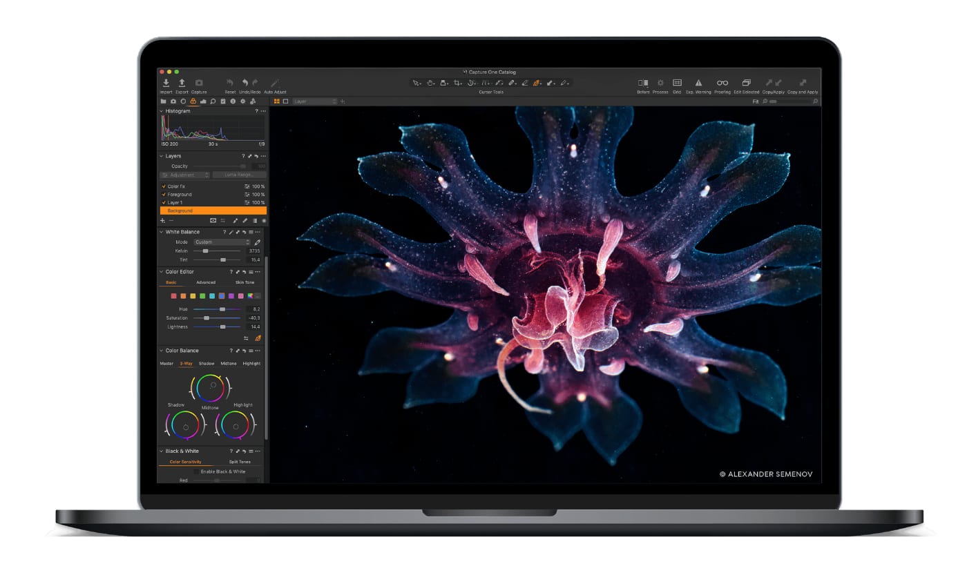 Fin du logiciel gratuit Capture One Express : quel impact pour les ...