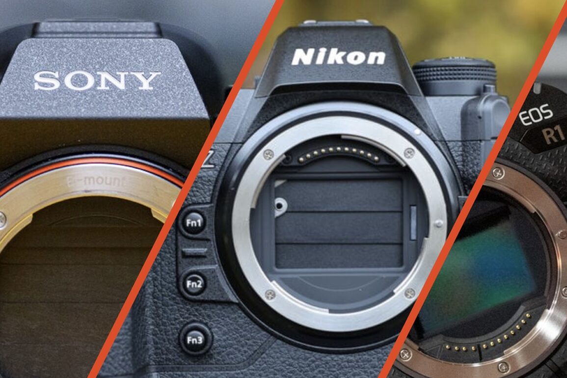 Canon EOS R1 vs Nikon Z9 vs Sony A1 II : qui sera couronné le roi des ...