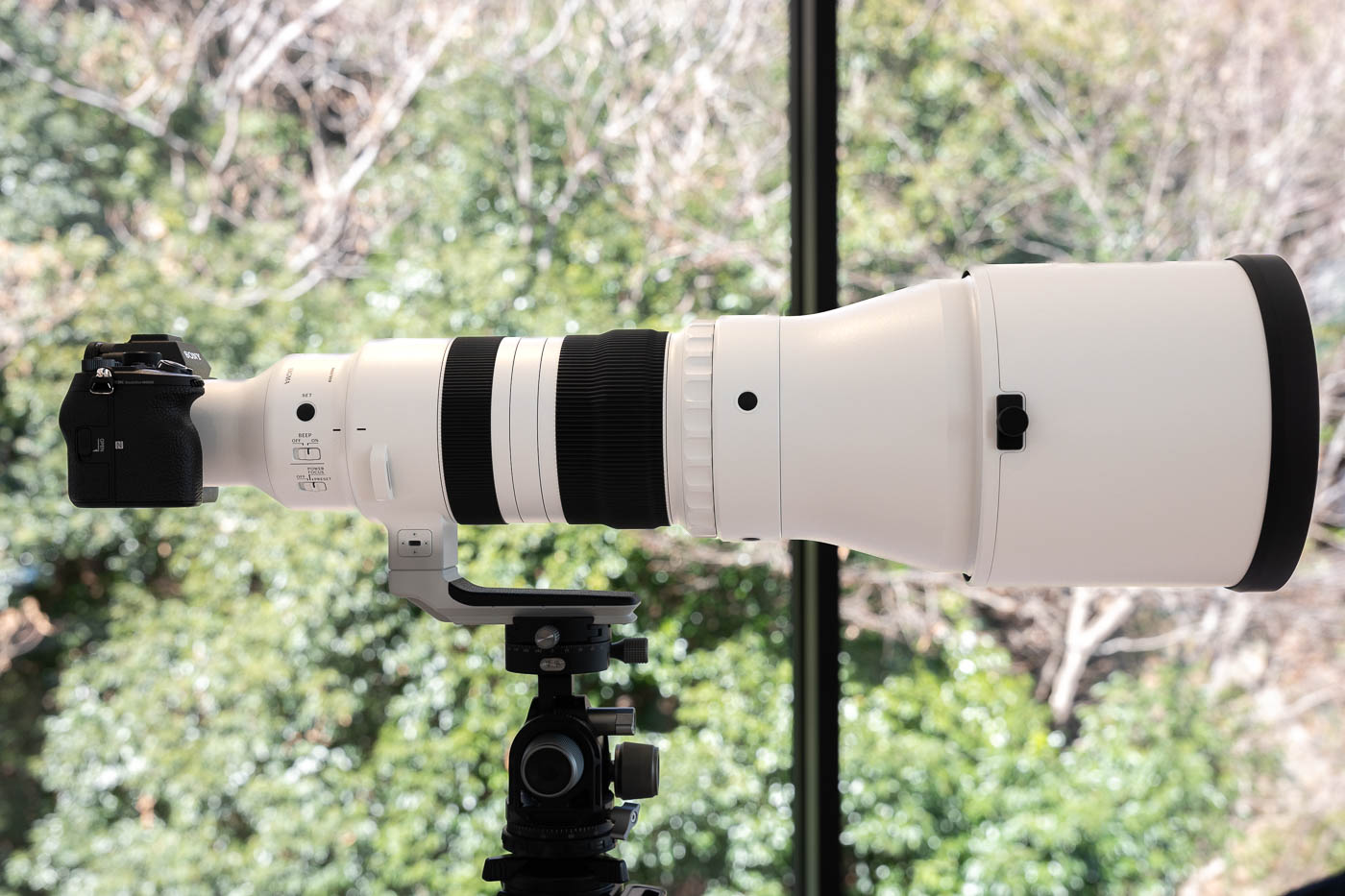 Sigma 300-600 mm f/4 DG OS Sports : le télézoom professionnel ultime en ...