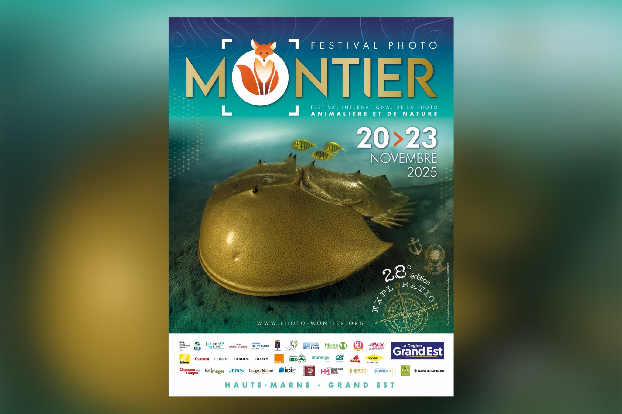 28e édition du Festival Photo Montier : exploration, mer et glaciers à ...
