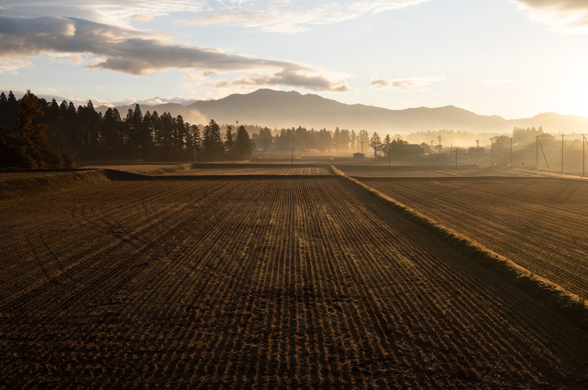 Sigma 15mm f/1.4 DC Contemporary: a bright, lightweight wide-angle lens ...