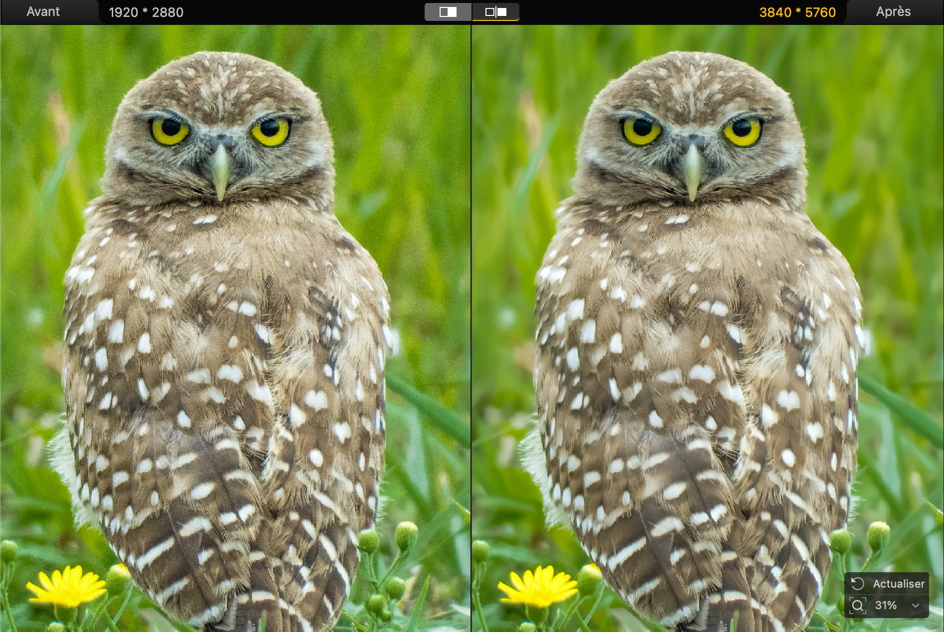 Aiarty Image Enhancer : amélioration photo par IA, 100 % hors ligne et ...