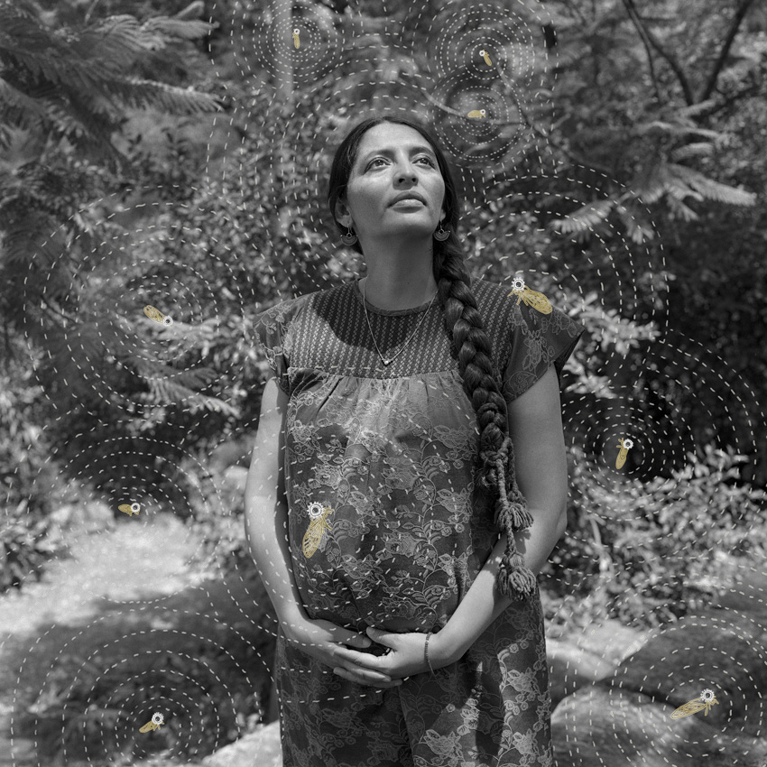 Concours SWPA 2026 : Citlali Fabián, photographe de l'année